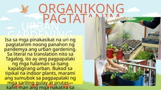 EPP 4-AGRICULTURE Q2 PPT WEEK ...