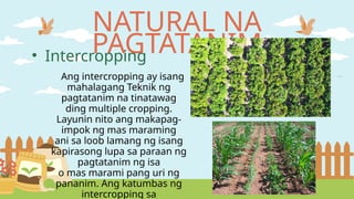 EPP 4-AGRICULTURE Q2 PPT WEEK ...