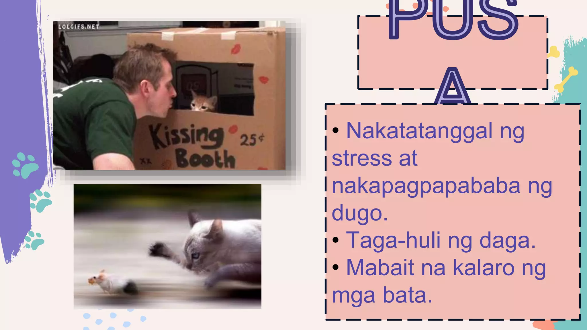 EPP 4-KABUTIHANG DULOT NG PAG-AALAGA NG HAYOP.pptx