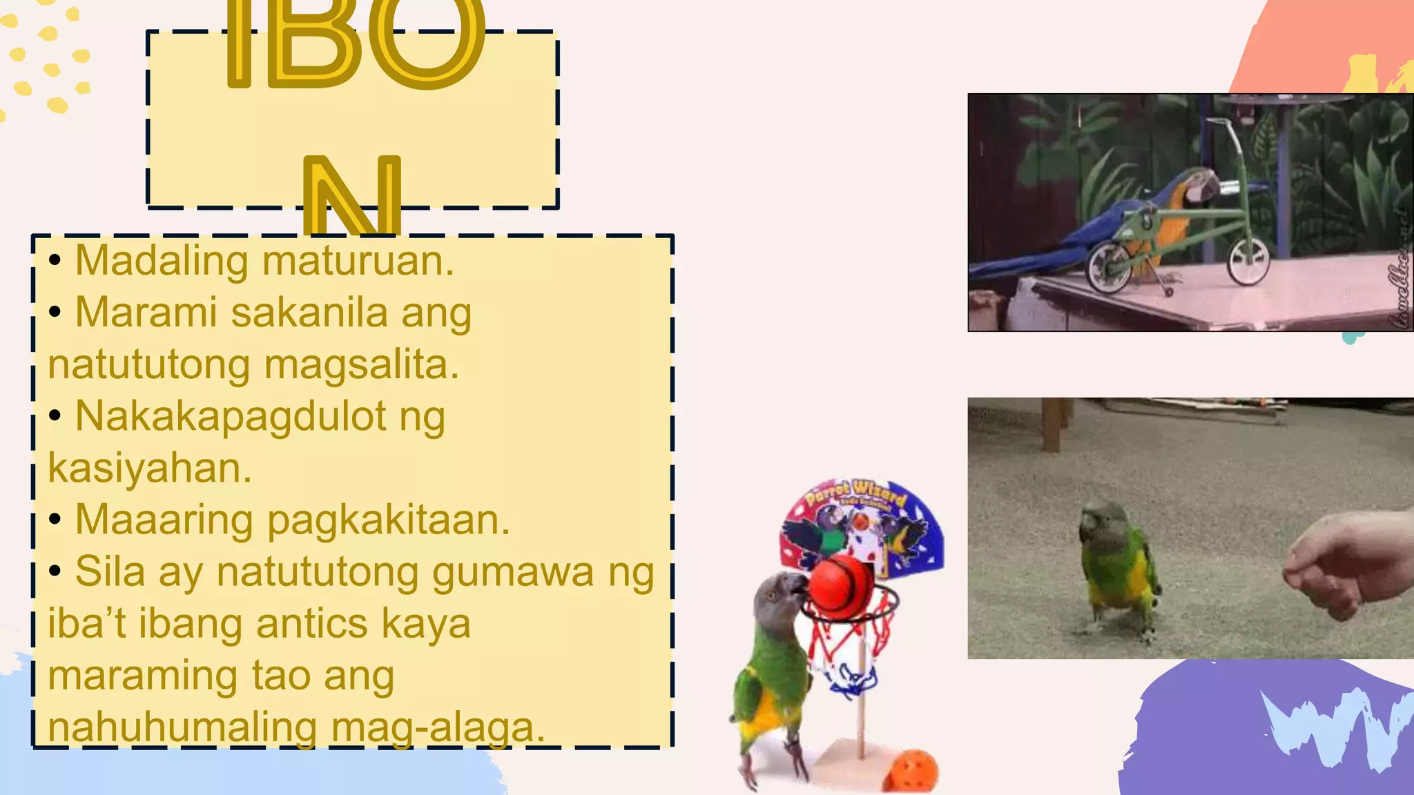 EPP 4-KABUTIHANG DULOT NG PAG-AALAGA NG HAYOP.pptx