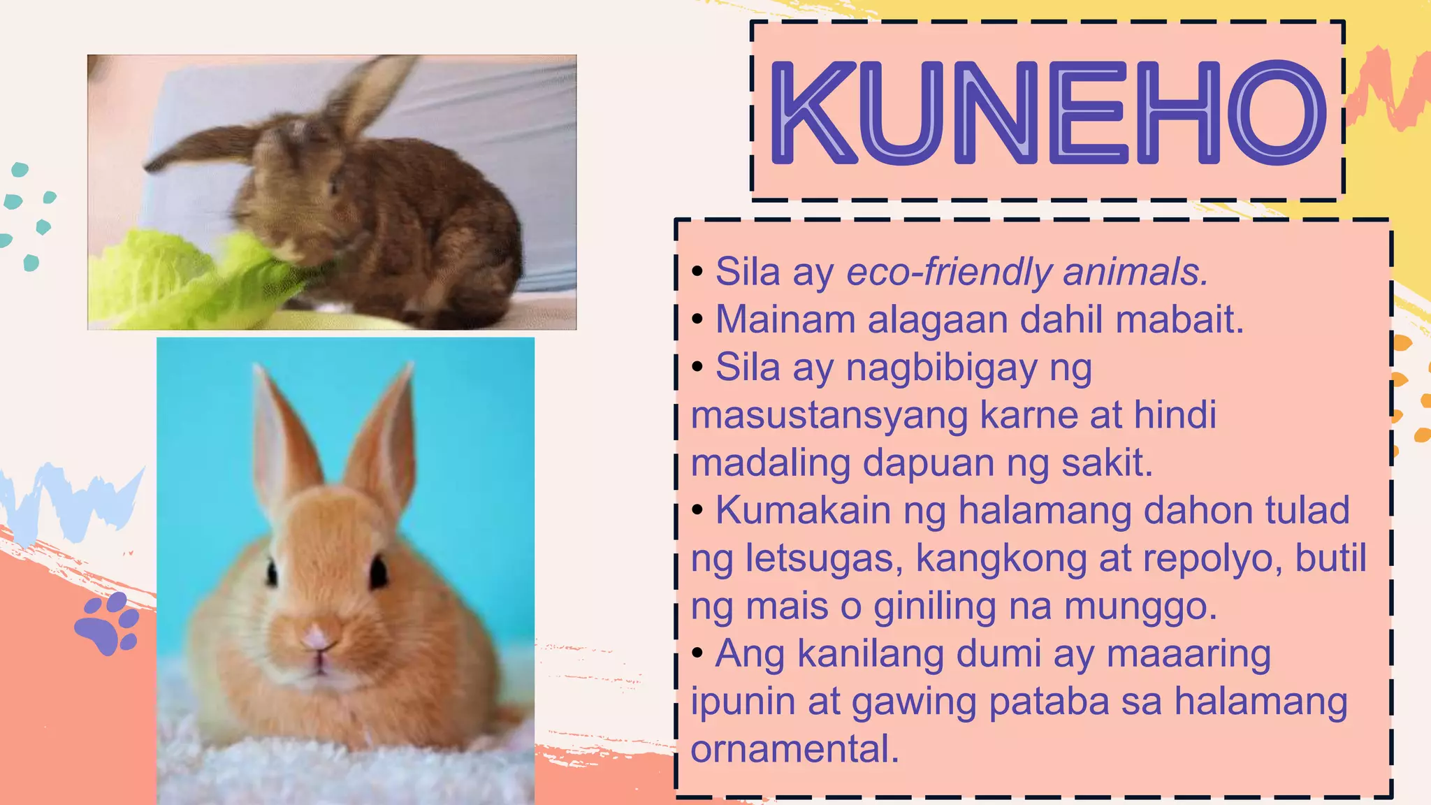 EPP 4-KABUTIHANG DULOT NG PAG-AALAGA NG HAYOP.pptx