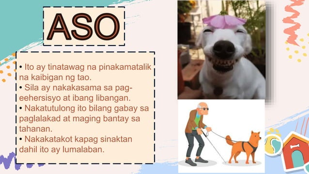 EPP 4-KABUTIHANG DULOT NG PAG-AALAGA NG HAYOP.pptx