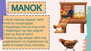 EPP 4-KABUTIHANG DULOT NG PAG-AALAGA NG HAYOP.pptx