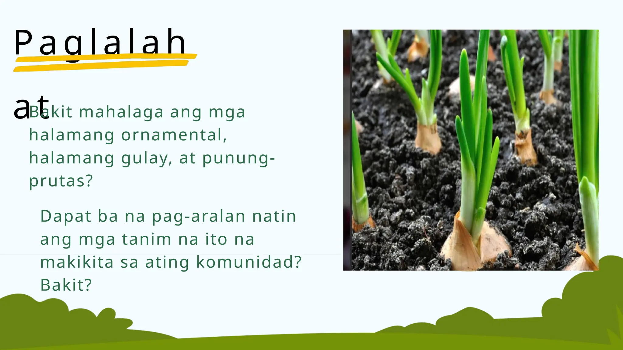 EPP4 AFA Q2 Aralin 6 Mga Halaman Na maaaring Itanim na makikita sa ating komunidad.pptx