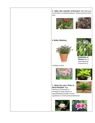 EPP4_AGRI_W3_D1-5.docx