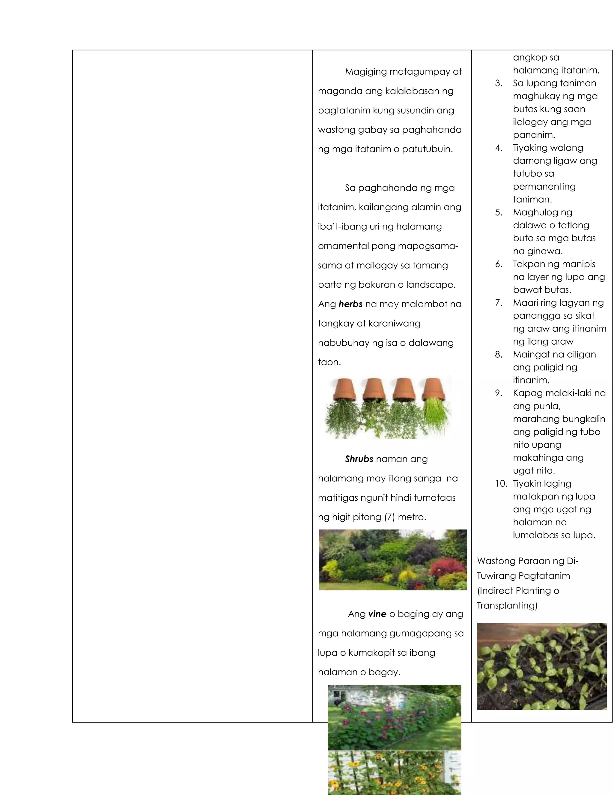 EPP4_Agri_W5_D1-5.docx