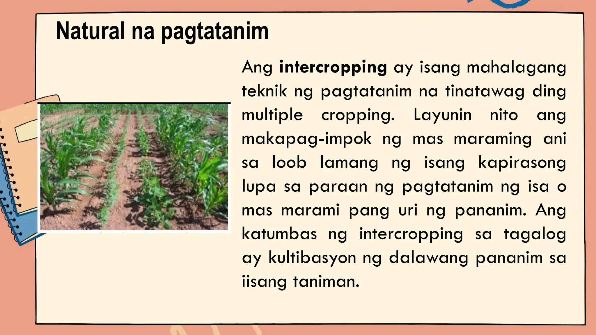 Edukasyon sa pagpapakapogi 4 ng pogi yeah | PPTX