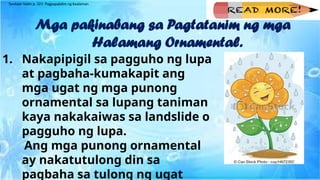 EPP 4 PPT Q3 - Agri Aralin 1 - Pakinabang sa Pagtatanim ng Halamang ...