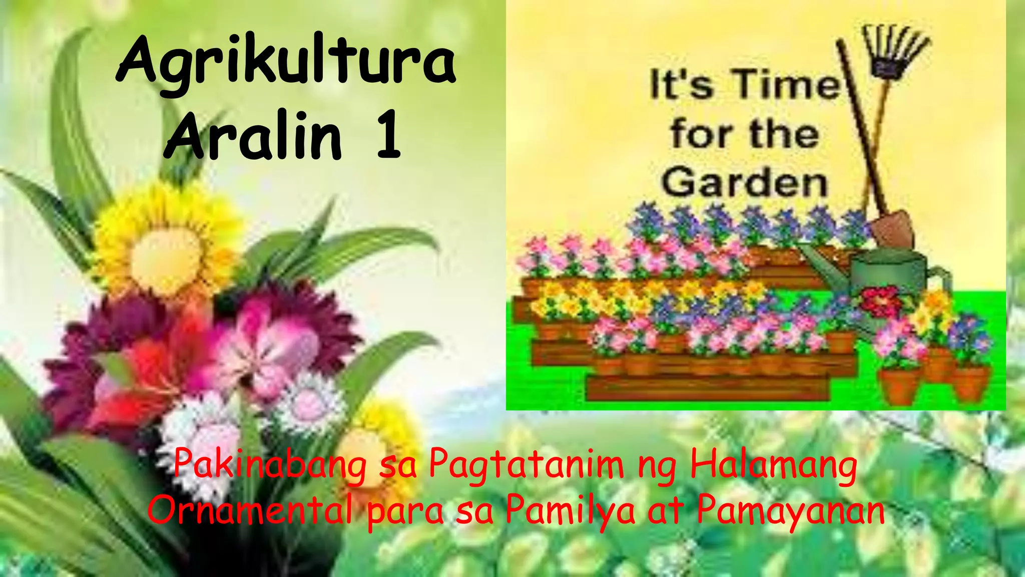 EPP 4 PPT Q3 - Agri Aralin 1 - Pakinabang sa Pagtatanim ng Halamang Ornamental para sa Pamilya ...