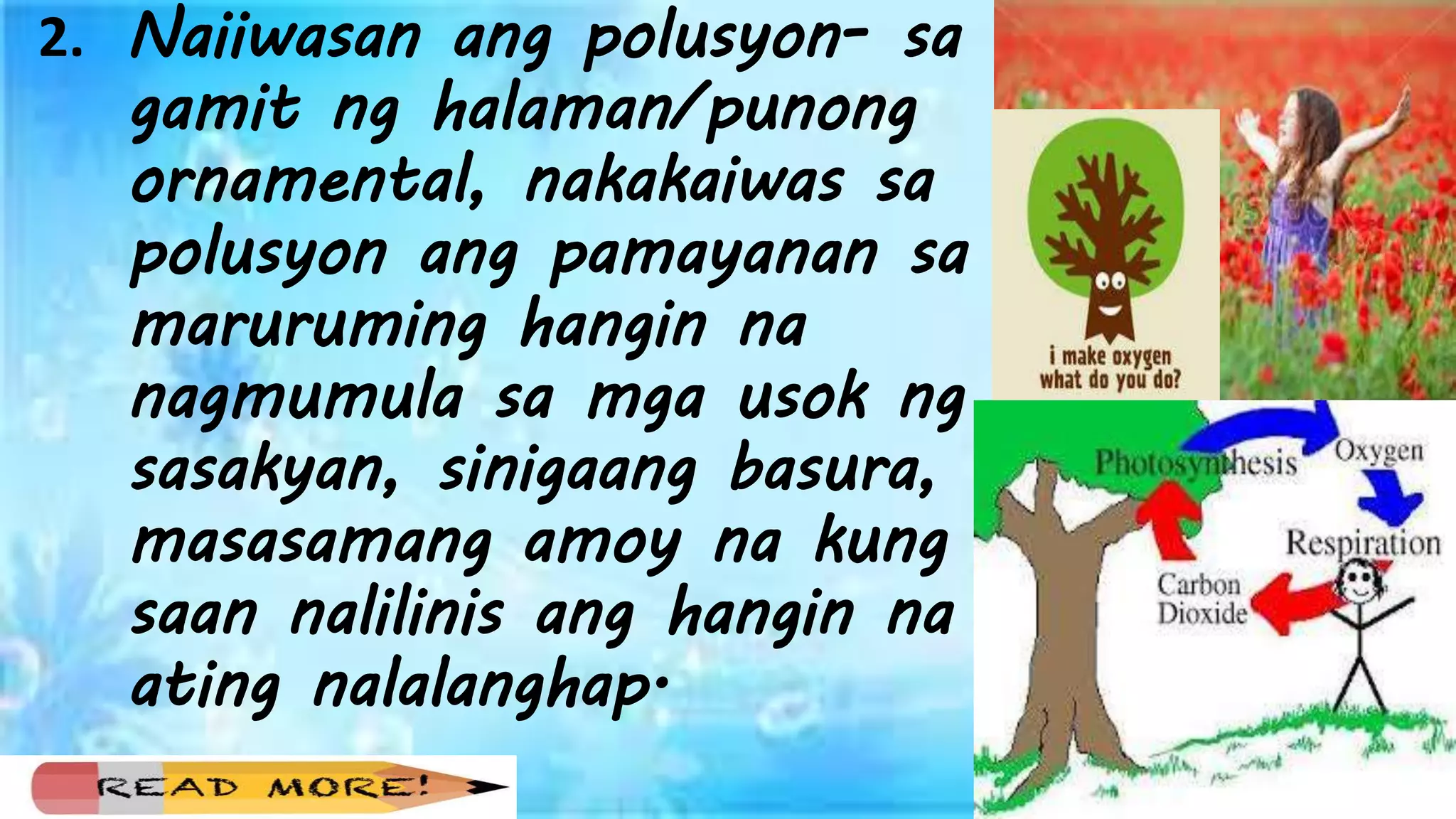 EPP 4 PPT Q3 - Agri Aralin 1 - Pakinabang sa Pagtatanim ng Halamang Ornamental para sa Pamilya ...