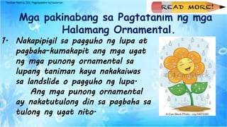 EPP 4 PPT Q3 - Agri Aralin 1 - Pakinabang sa Pagtatanim ng Halamang Ornamental para sa Pamilya ...