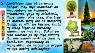 EPP 4 PPT Q3 - Agri Aralin 1 - Pakinabang sa Pagtatanim ng Halamang Ornamental para sa Pamilya ...