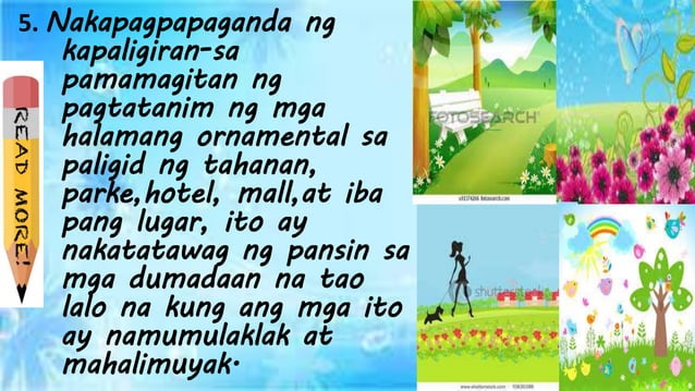 EPP 4 PPT Q3 - Agri Aralin 1 - Pakinabang sa Pagtatanim ng Halamang Ornamental para sa Pamilya ...