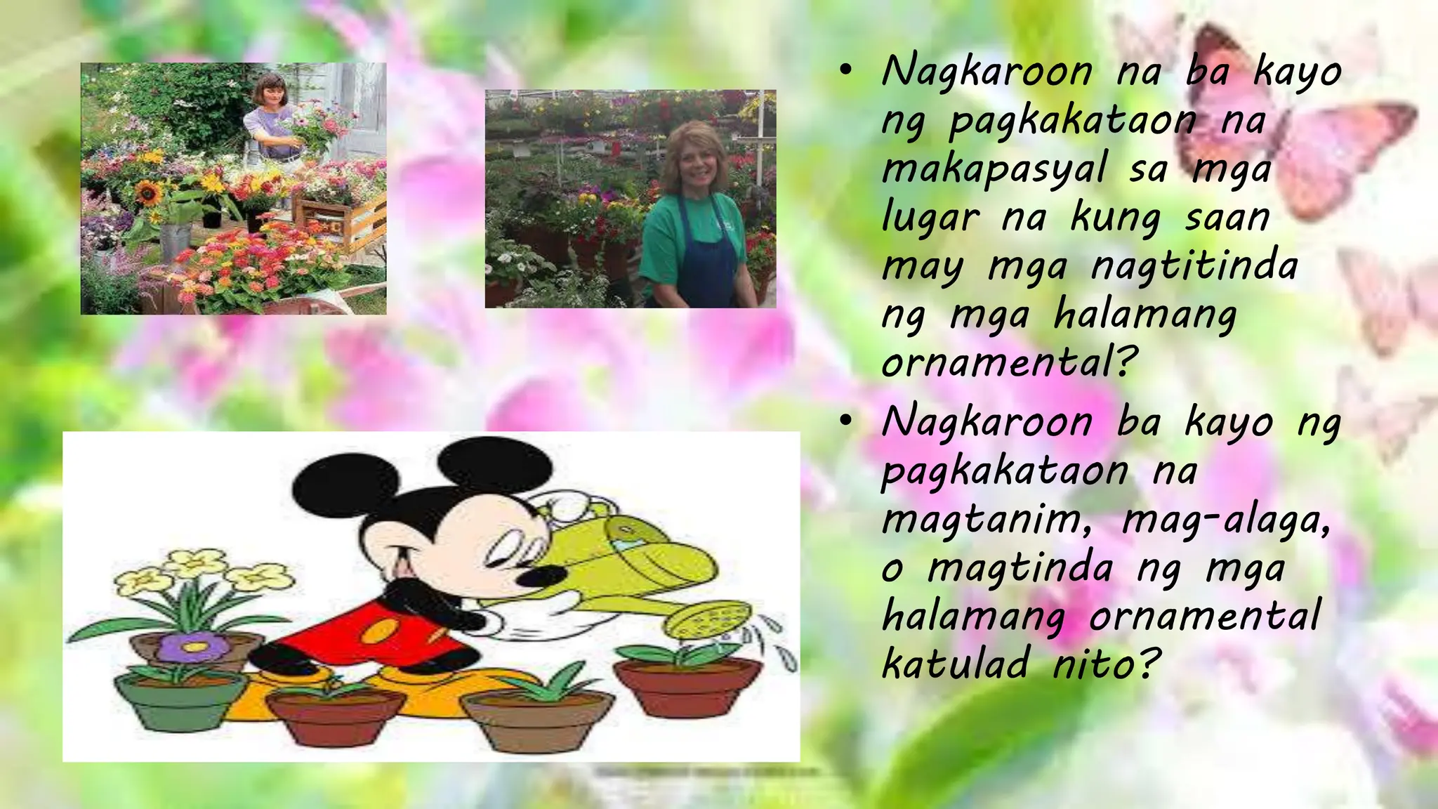 EPP 4 PPT Q3 - Agri Aralin 3 - Pagtukoy Ng Mga Halamang Ornamental Ayon Sa Pangangailangan.pptx