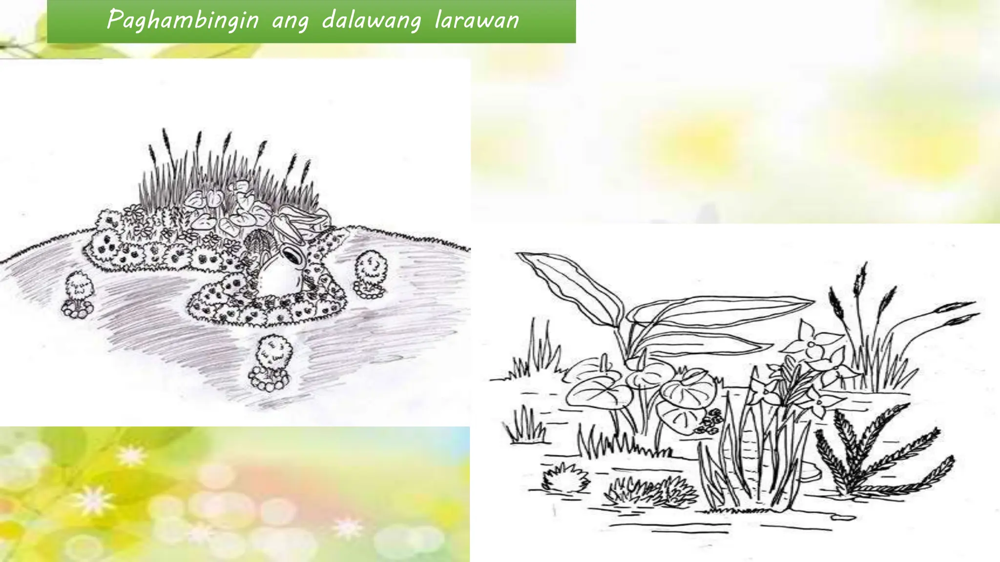 EPP 4 PPT Q3 - Agri Aralin 5 - Pagtukoy sa Disenyo o Plano ng ...