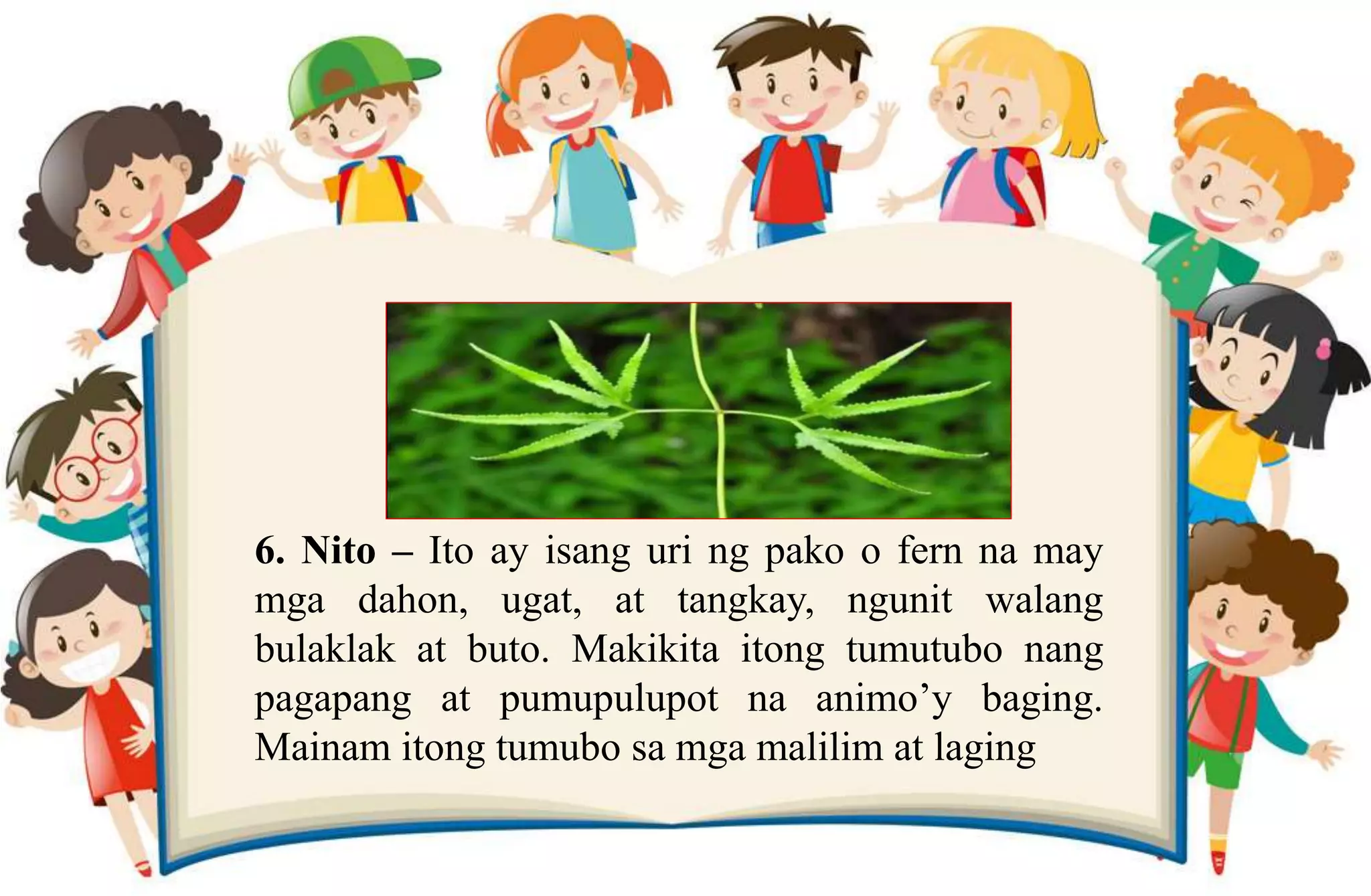 EPP 4 PPT Q3 - Aralin 15 - Iba't Ibang Materyales na Matatagpuan sa Pamayanan.pptx