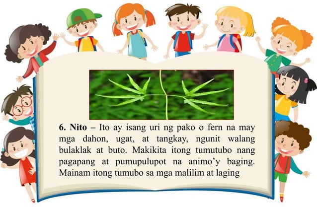 EPP 4 PPT Q3 - Aralin 15 - Iba't Ibang Materyales na Matatagpuan sa Pamayanan.pptx
