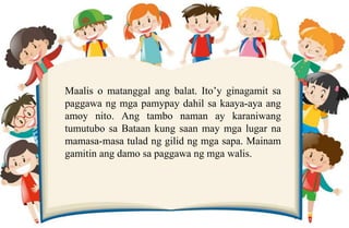 EPP 4 PPT Q3 - Aralin 15 - Iba't Ibang Materyales na Matatagpuan sa ...