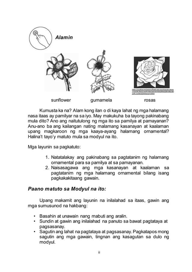 EPP4_Q1_Mod1_Mga Kasanayan at Kaalaman sa Pagtatanim ng Halamang Ornamental _Version 3.docx