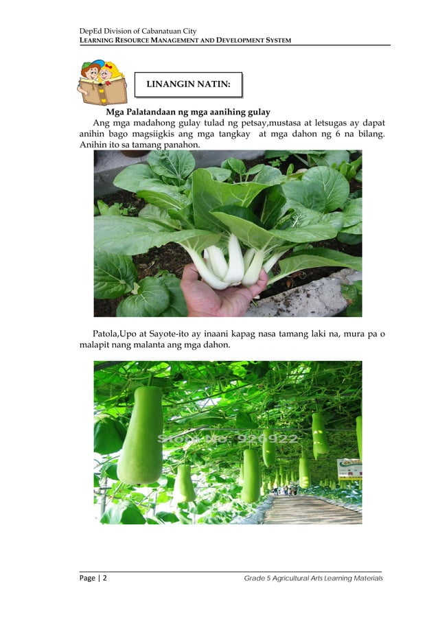 Agriculture EPP5 | PDF