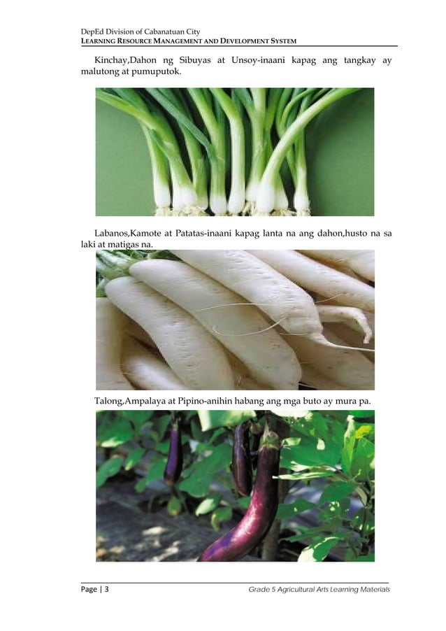 Agriculture EPP5 | PDF