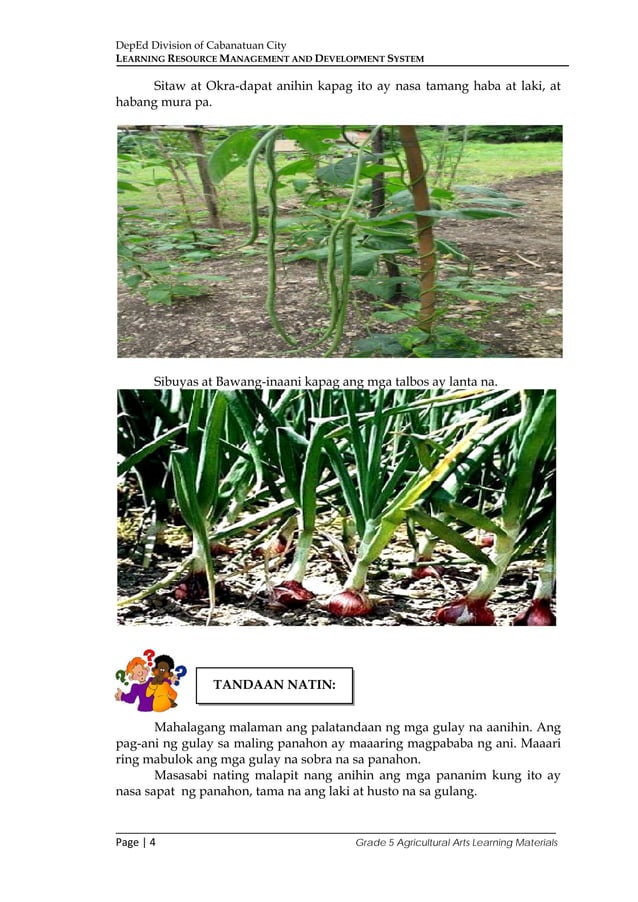 Agriculture EPP5 | PDF