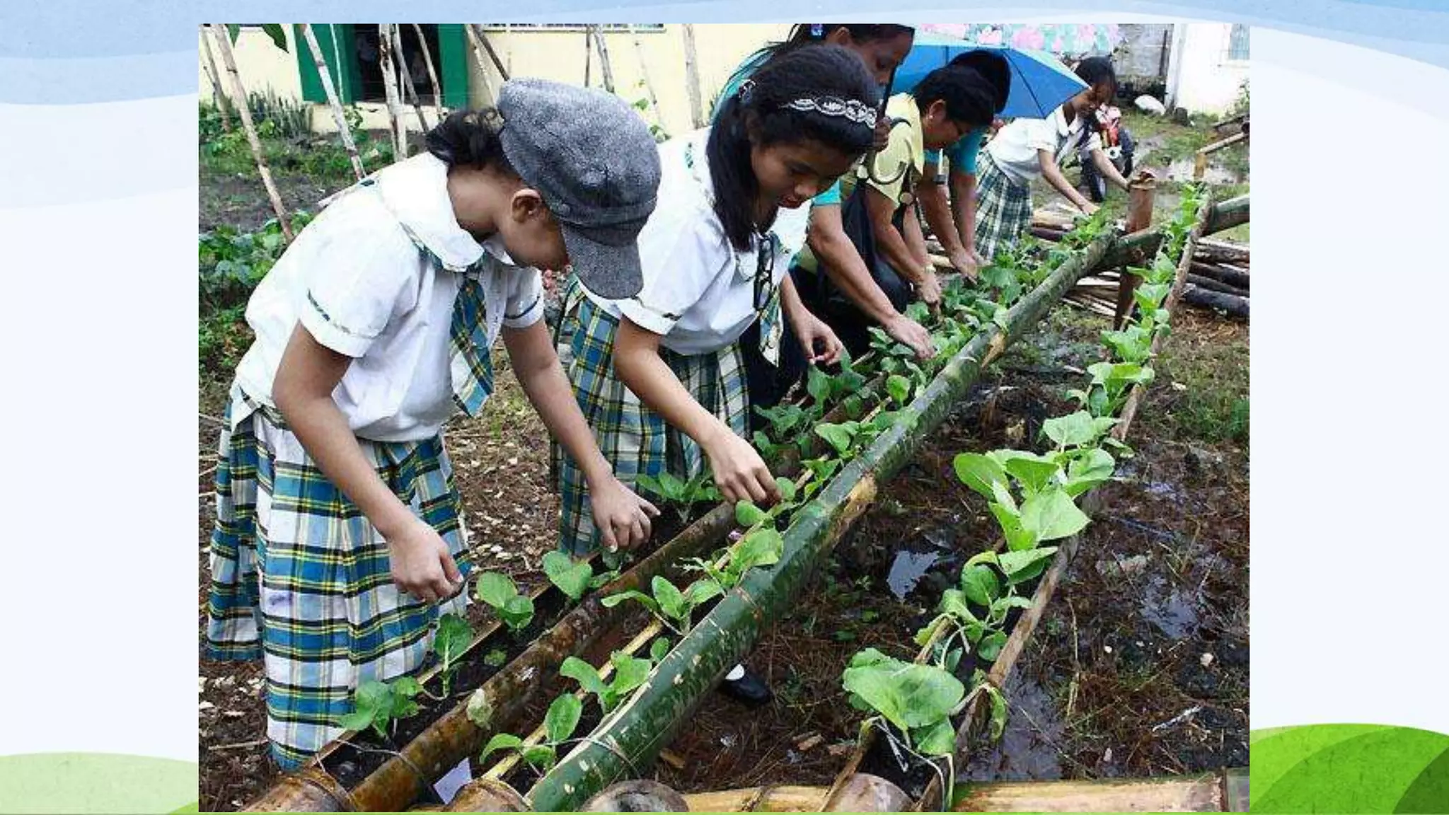 EPP 5 AGRI - Sustansiyang Nakukuha sa mga Halamang Gulay | PPTX