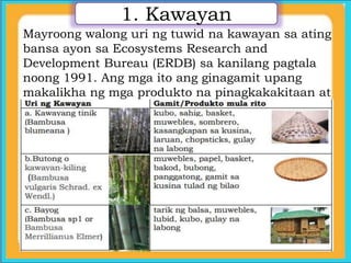 EPP5 APRIL19 LESSON.pptx