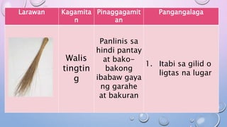 EPP 5 HE - Mga Kagamitan at Kasangkapan sa Pagsasaayos | PPTX