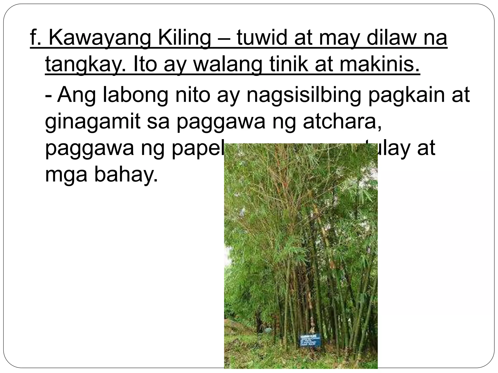 EPP 5 (Industrial Arts) | PPTX