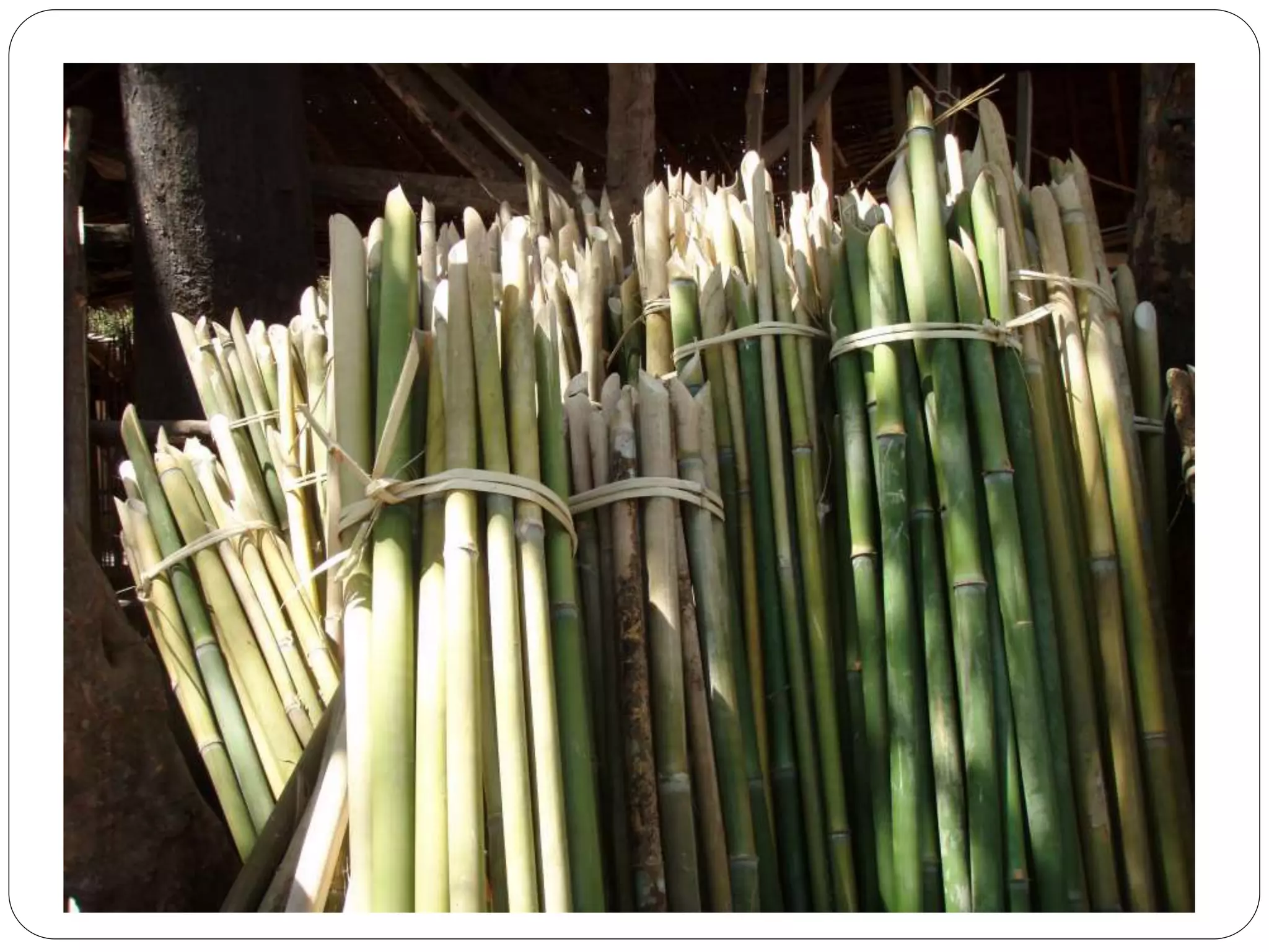 EPP 5 (Industrial Arts) | PPTX