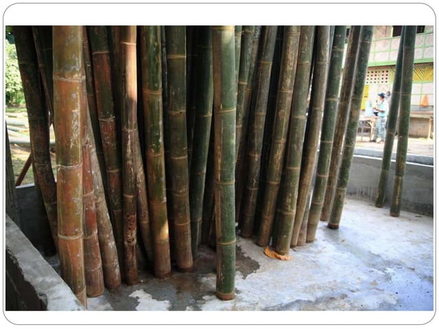 EPP 5 (Industrial Arts) | PPTX