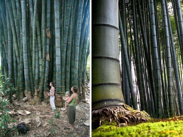 EPP 5 (Industrial Arts) | PPTX