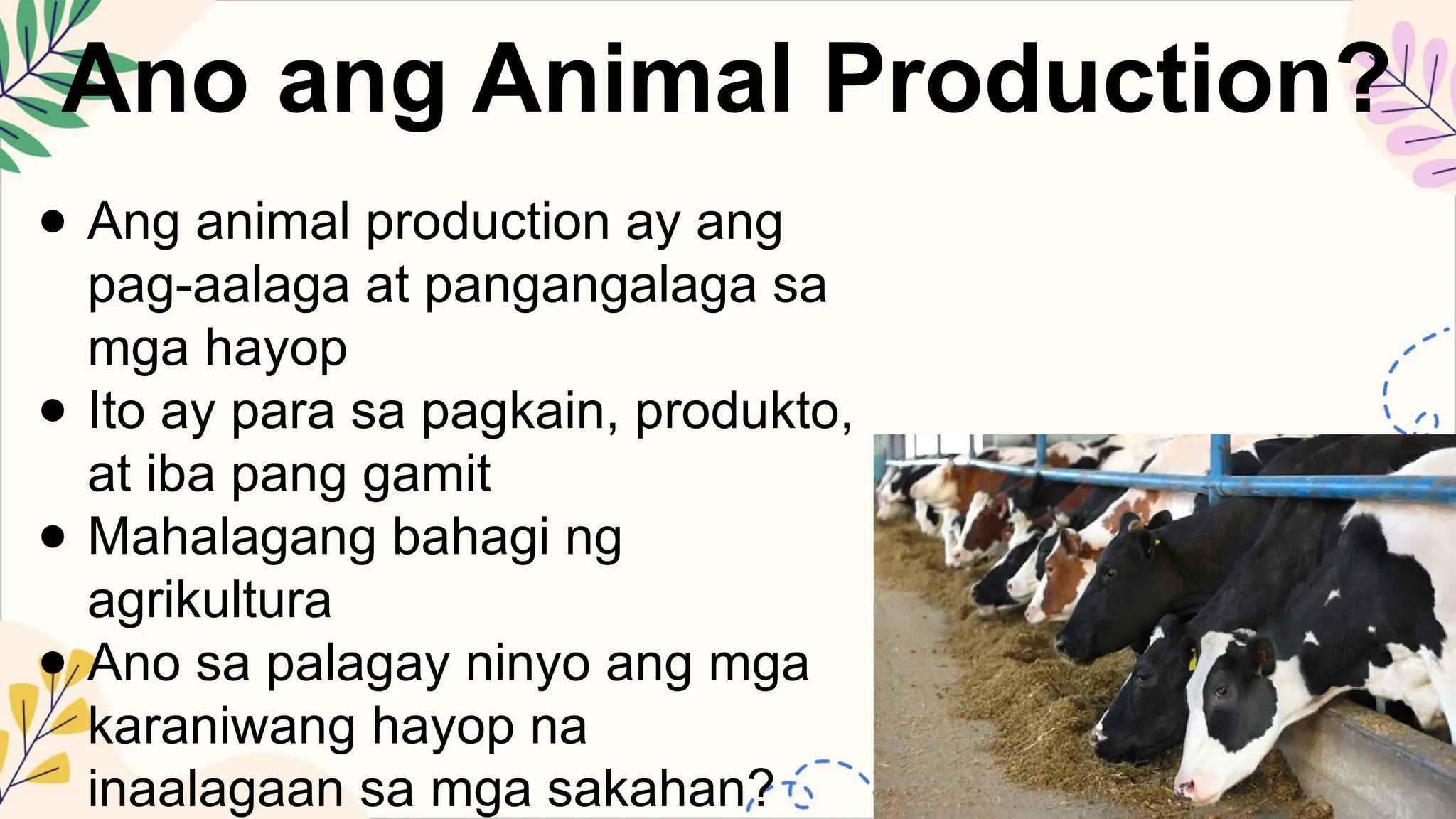EPP5 Q2 1 natatalakay ang kahulugan ng animal production at mga sangay nito.pptx
