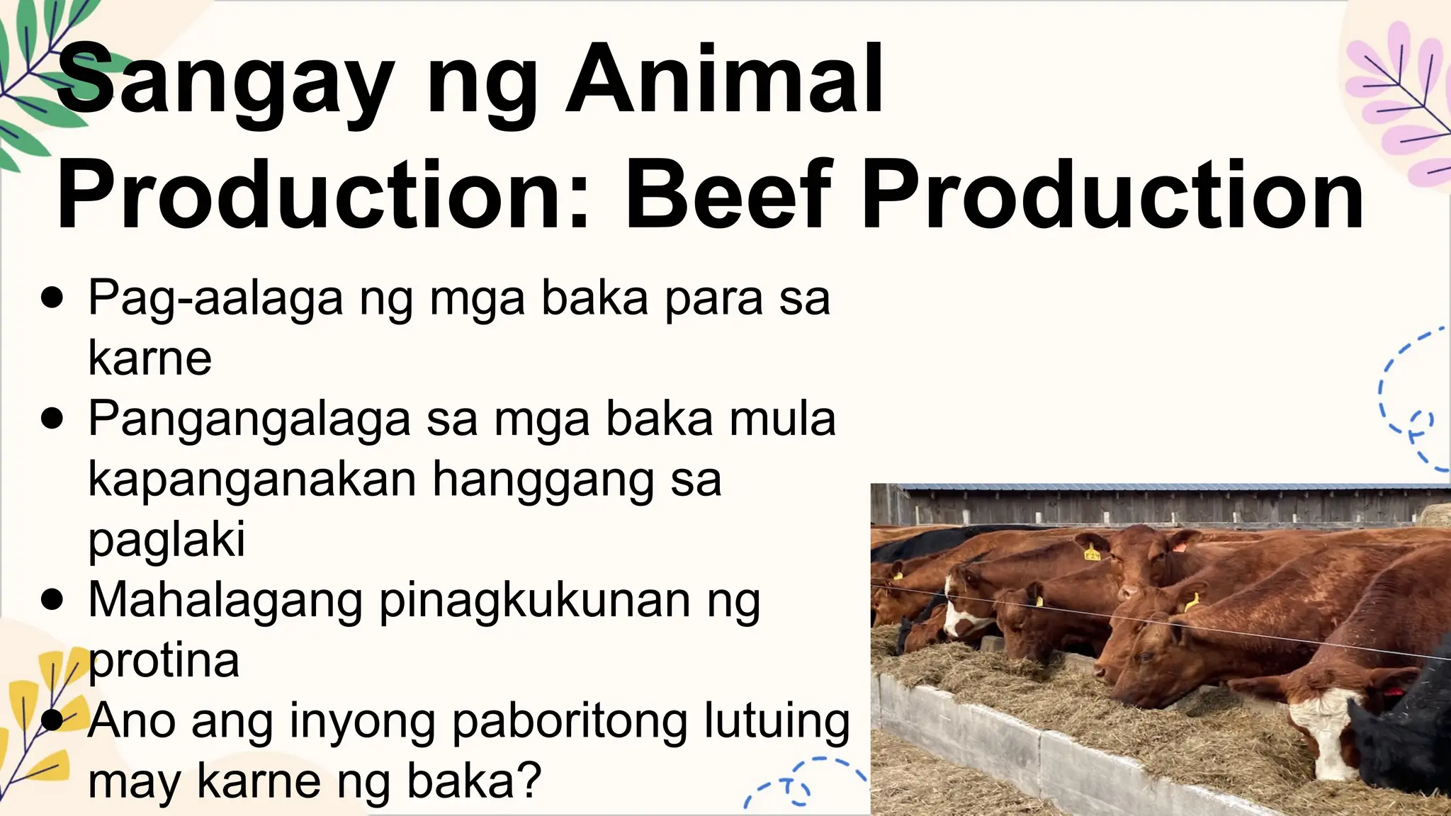 EPP5 Q2 1 natatalakay ang kahulugan ng animal production at mga sangay nito.pptx