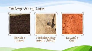 epp5q2paghahandasalupangpagtataniman-190901130013.pptx