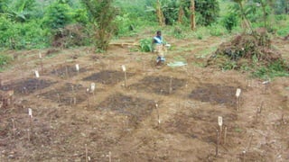 EPP 5 AGRI - Paghahanda sa Lupang Pagtataniman | PPTX