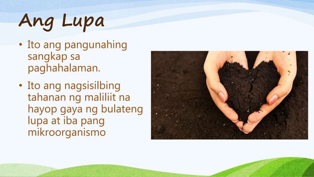 EPP 5 AGRI - Paghahanda sa Lupang Pagtataniman | PPTX