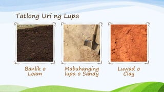 EPP 5 AGRI - Paghahanda sa Lupang Pagtataniman | PPTX