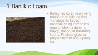 EPP 5 AGRI - Paghahanda sa Lupang Pagtataniman | PPTX