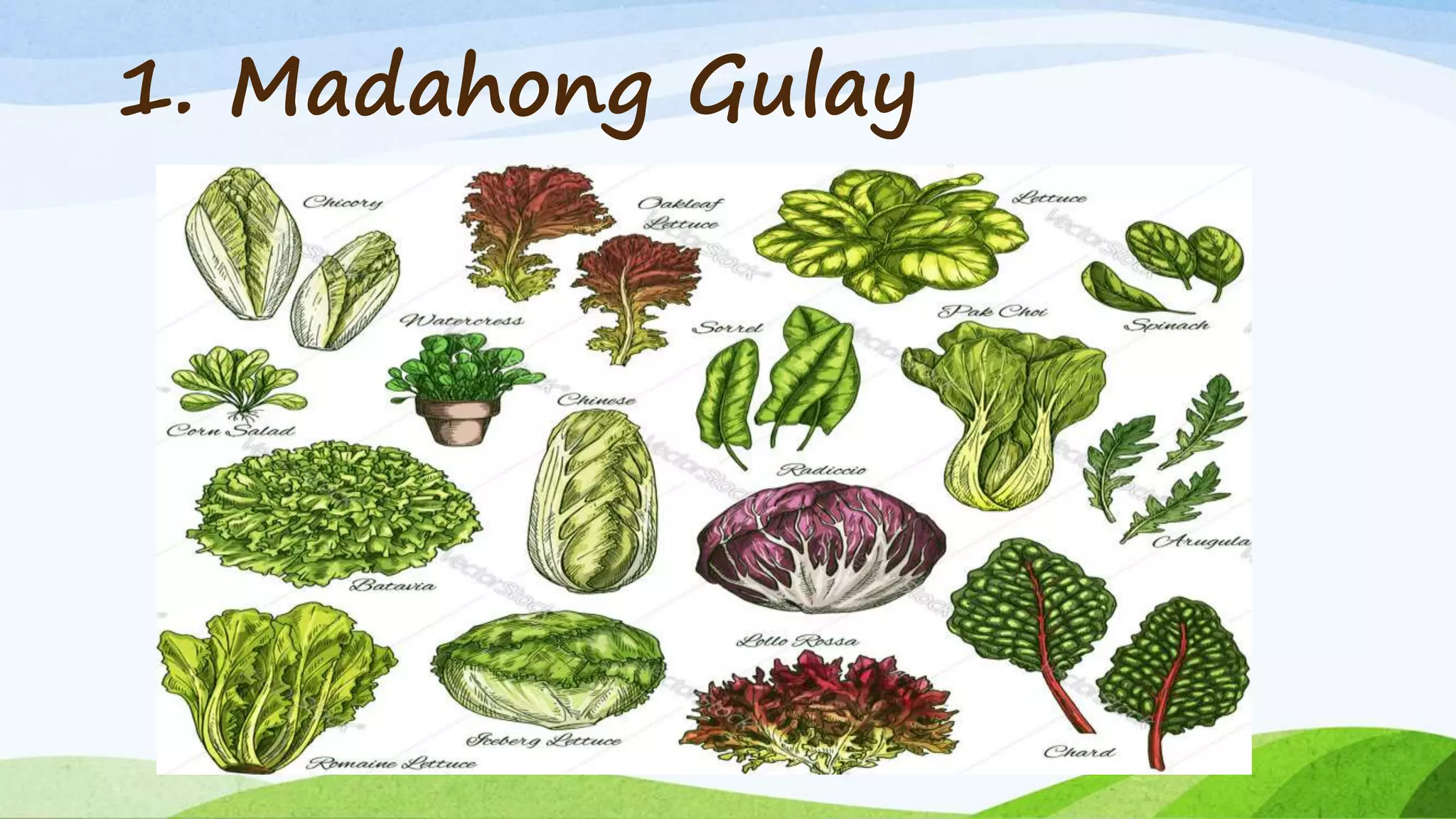EPP 5 AGRI - Pakinabang sa Pagtatanim ng Gulay | PPTX