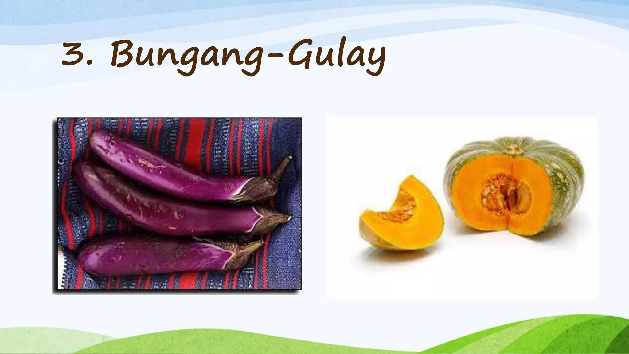 EPP 5 AGRI - Pakinabang sa Pagtatanim ng Gulay | PPTX