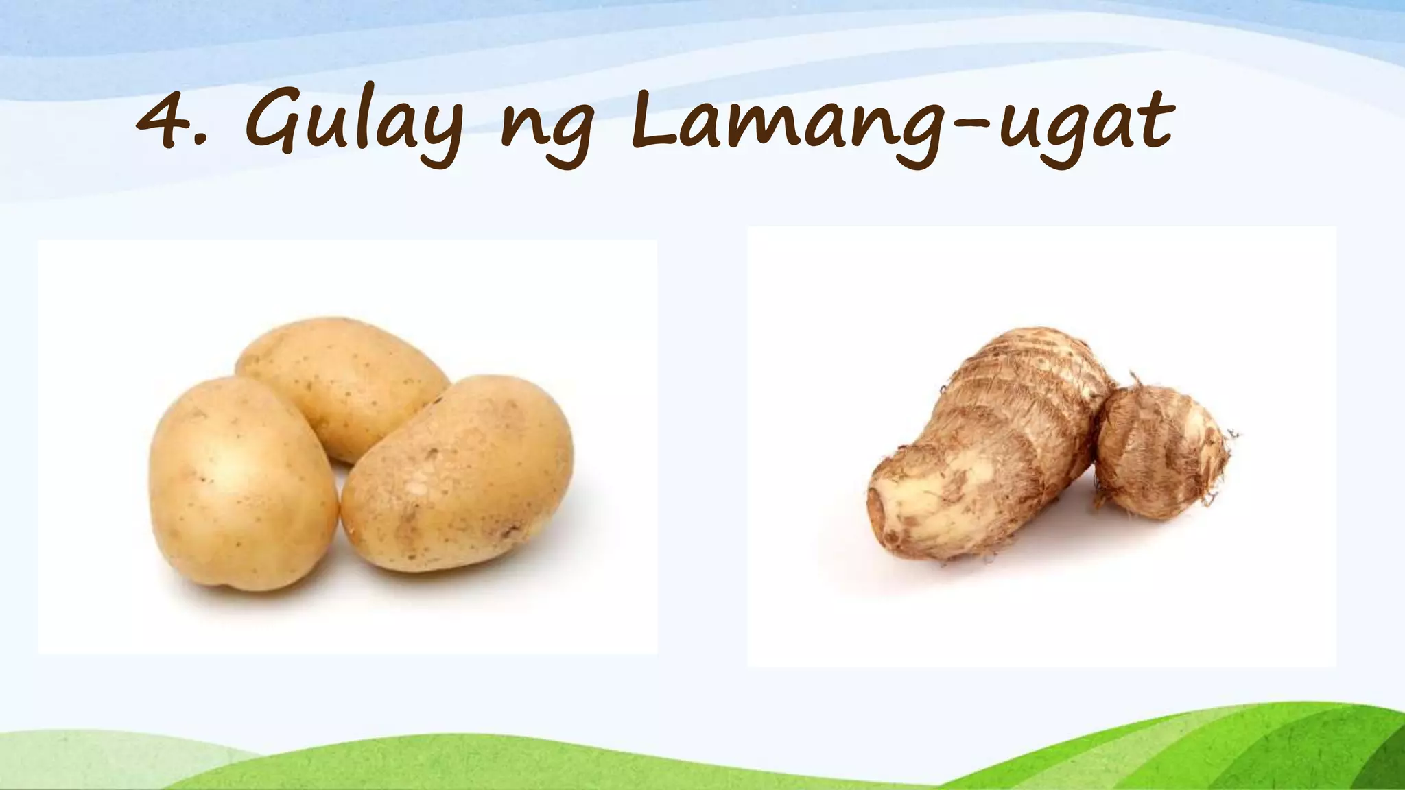 EPP 5 AGRI - Pakinabang sa Pagtatanim ng Gulay | PPTX