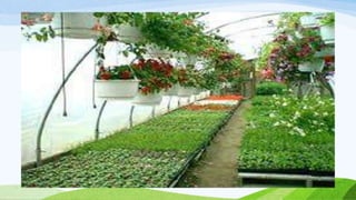 EPP 5 AGRI - Pakinabang sa Pagtatanim ng Gulay | PPTX