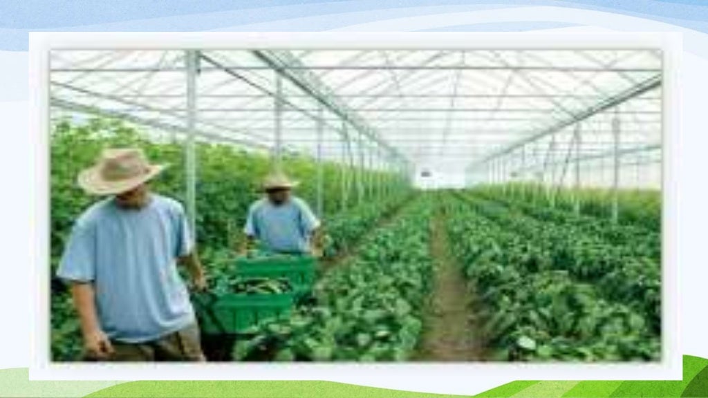 EPP 5 AGRI - Pakinabang sa Pagtatanim ng Gulay