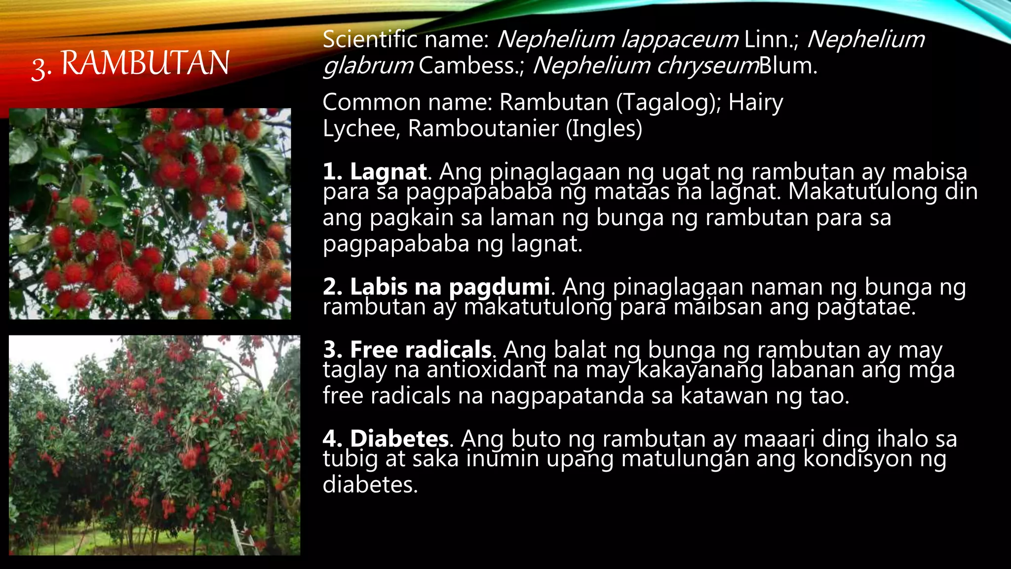 Epp6 aralin 1 punongkahoy | PPTX