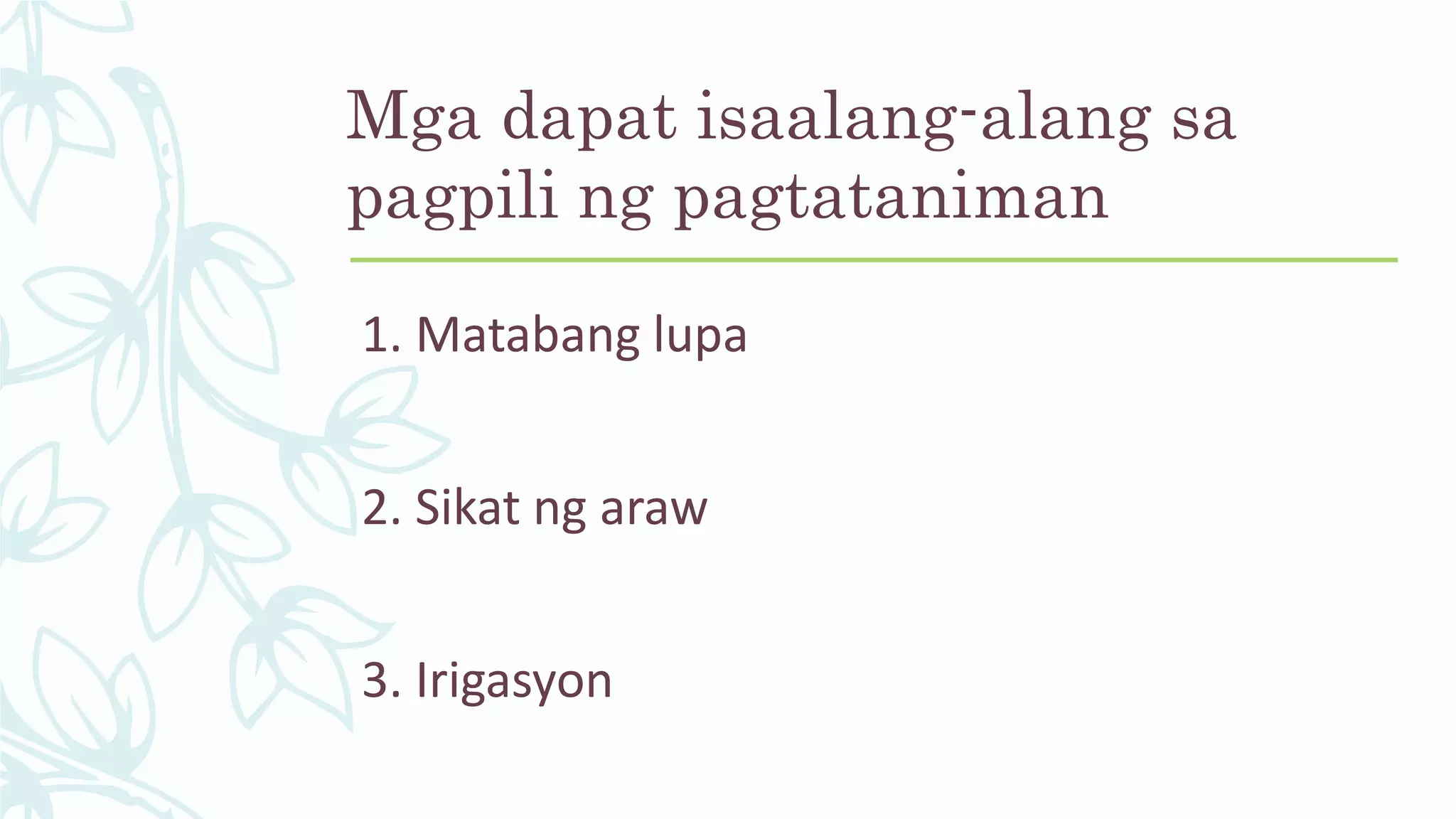 Epp 6 aralin 2 mga kagamitan at paraan sa pagtatanim | PPTX