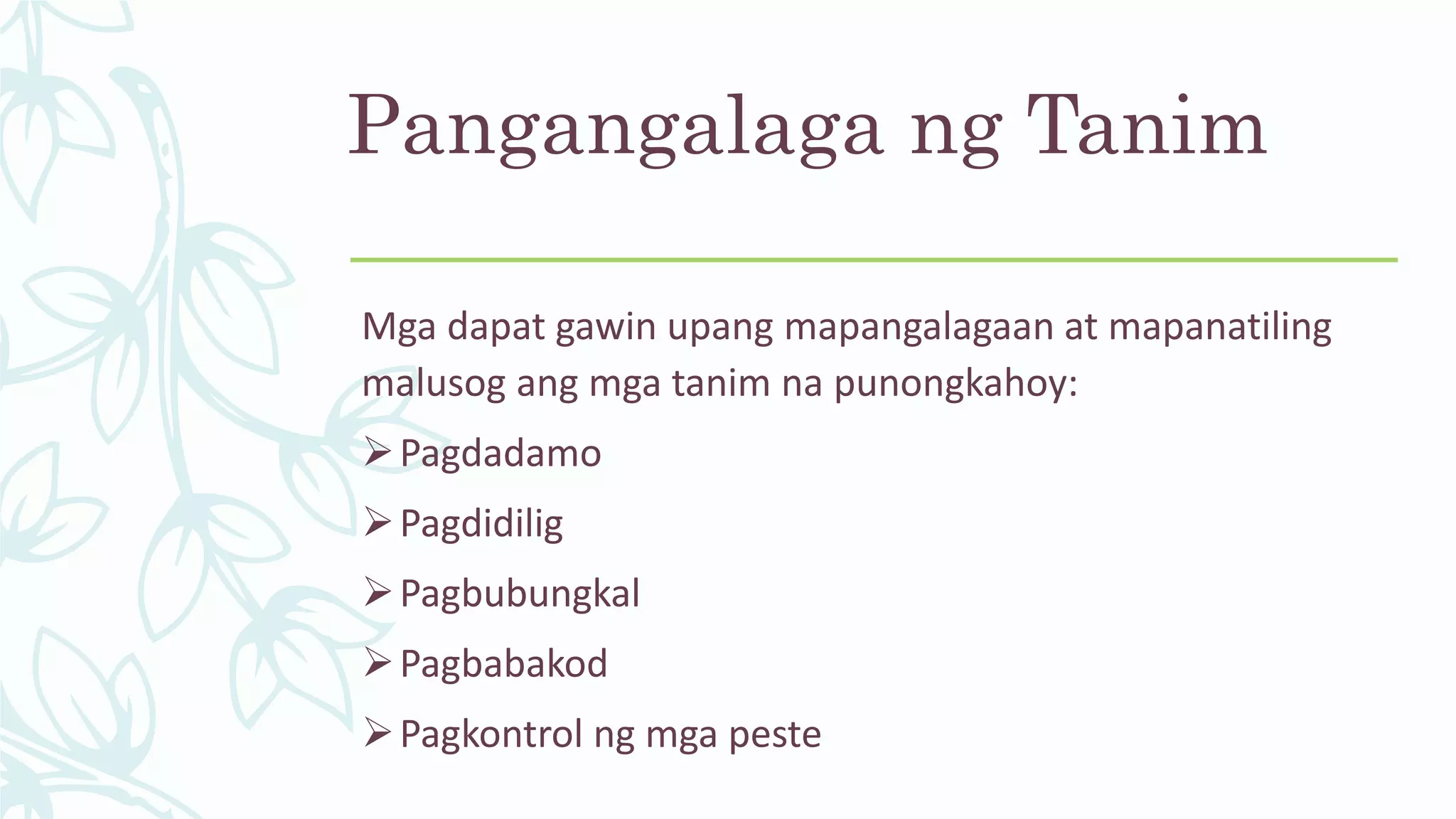 Epp 6 aralin 2 mga kagamitan at paraan sa pagtatanim | PPTX