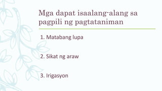 Epp 6 aralin 2 mga kagamitan at paraan sa pagtatanim | PPTX