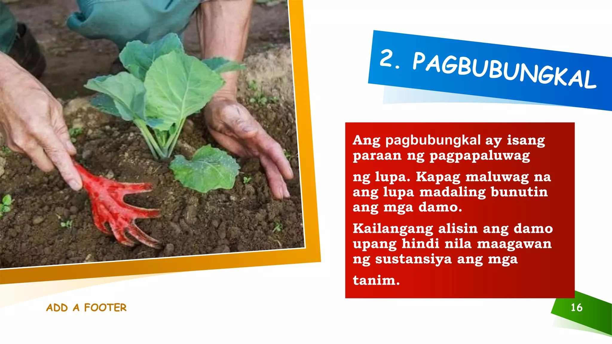 EPP/TLE Agriculture | PPTX